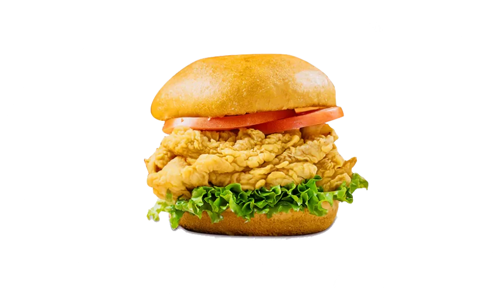 Crispy Fried Chicken Burger - Fast Food Restaurant | Online Order ...